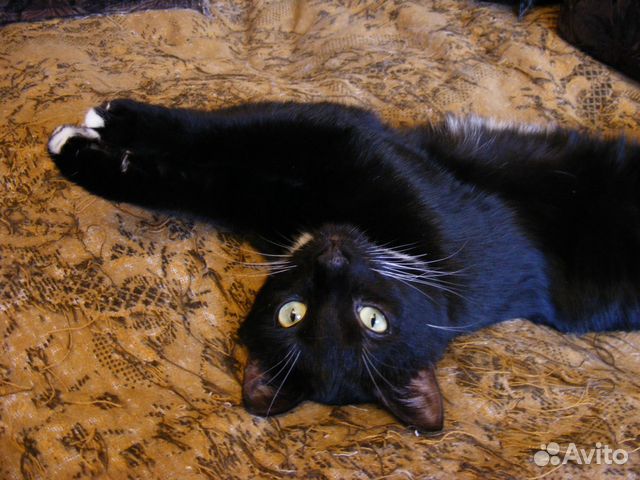 Самая обаятельная малышка, красотка Васенька