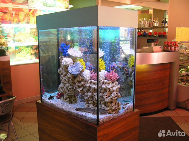 Обслуживание аквариума