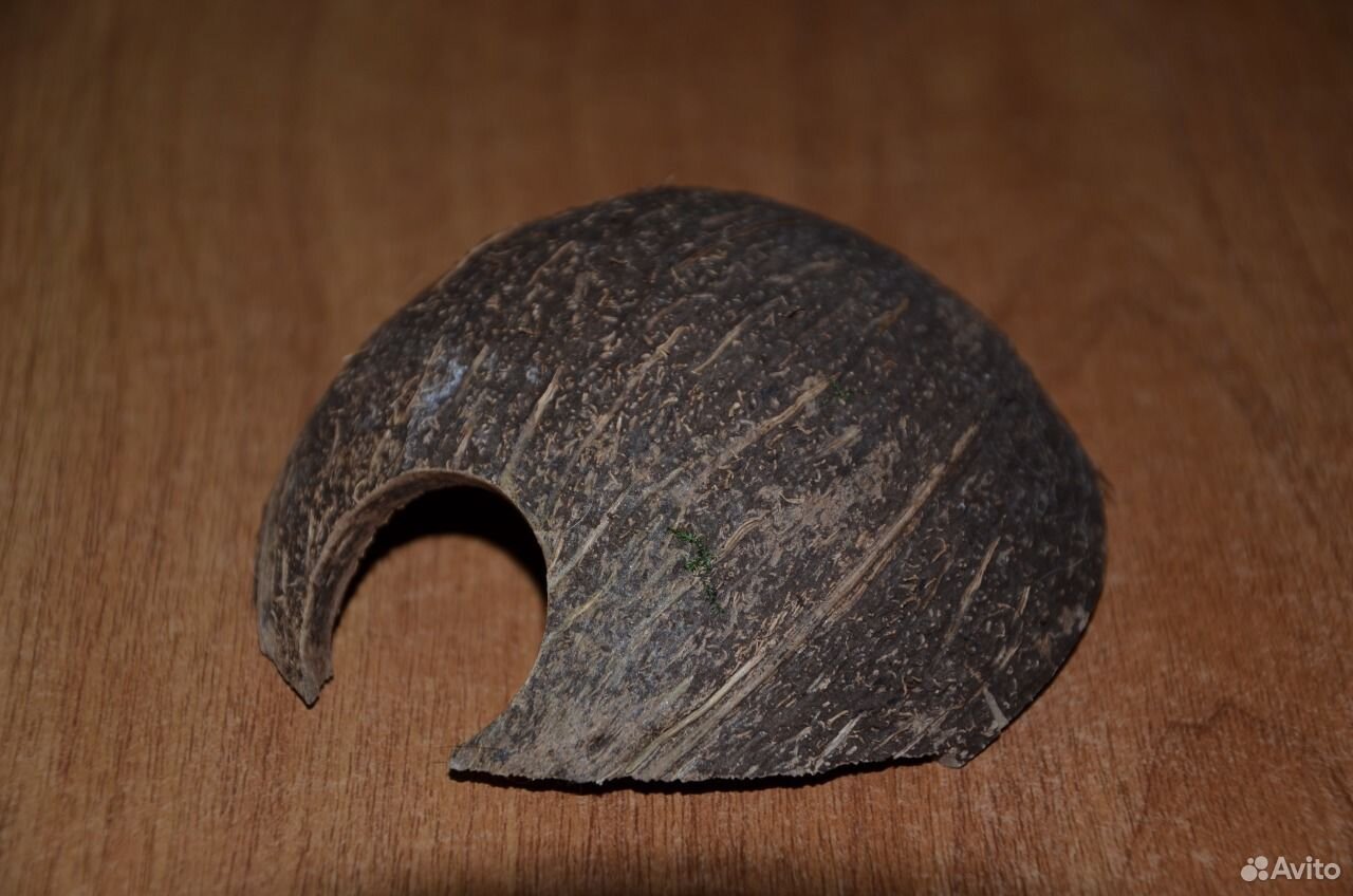 Грот из кокоса