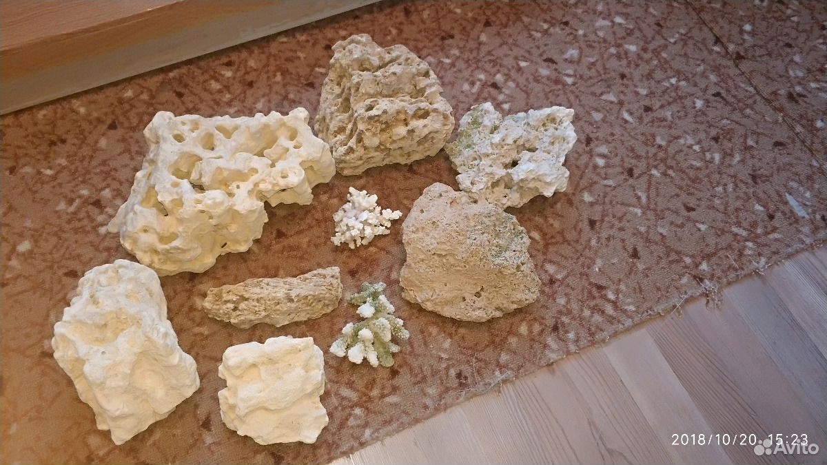 Туф, песчаник, кораллы, морские камни