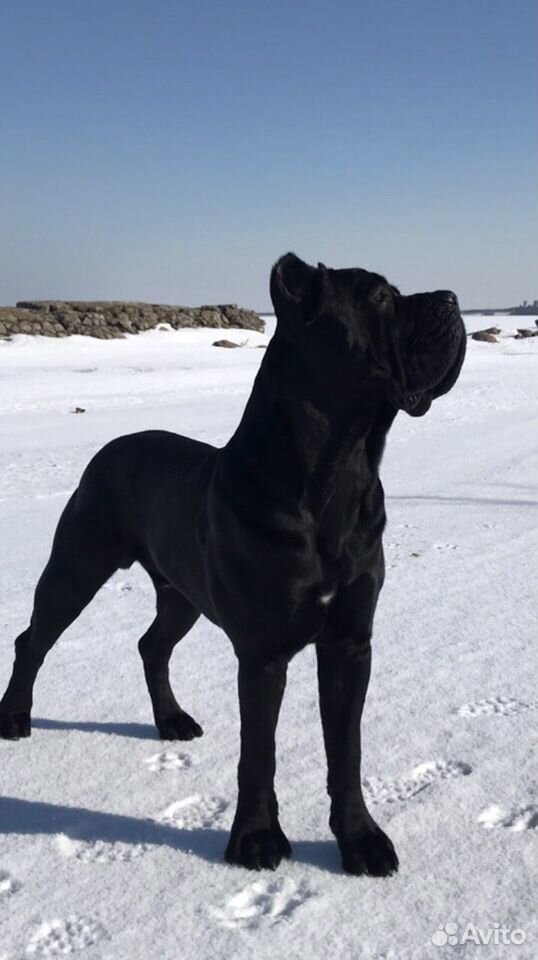 Кабель для вязки