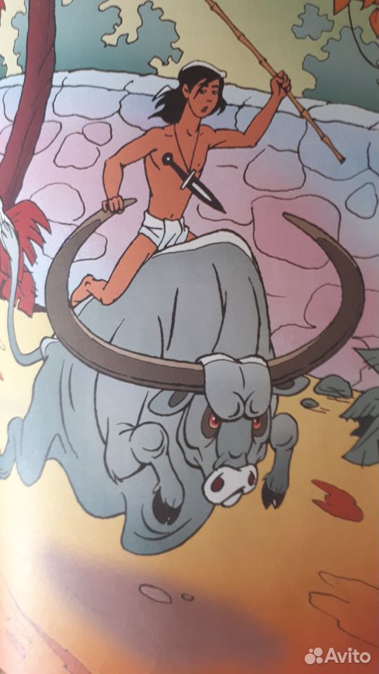 Бычки 5 мес на откорм