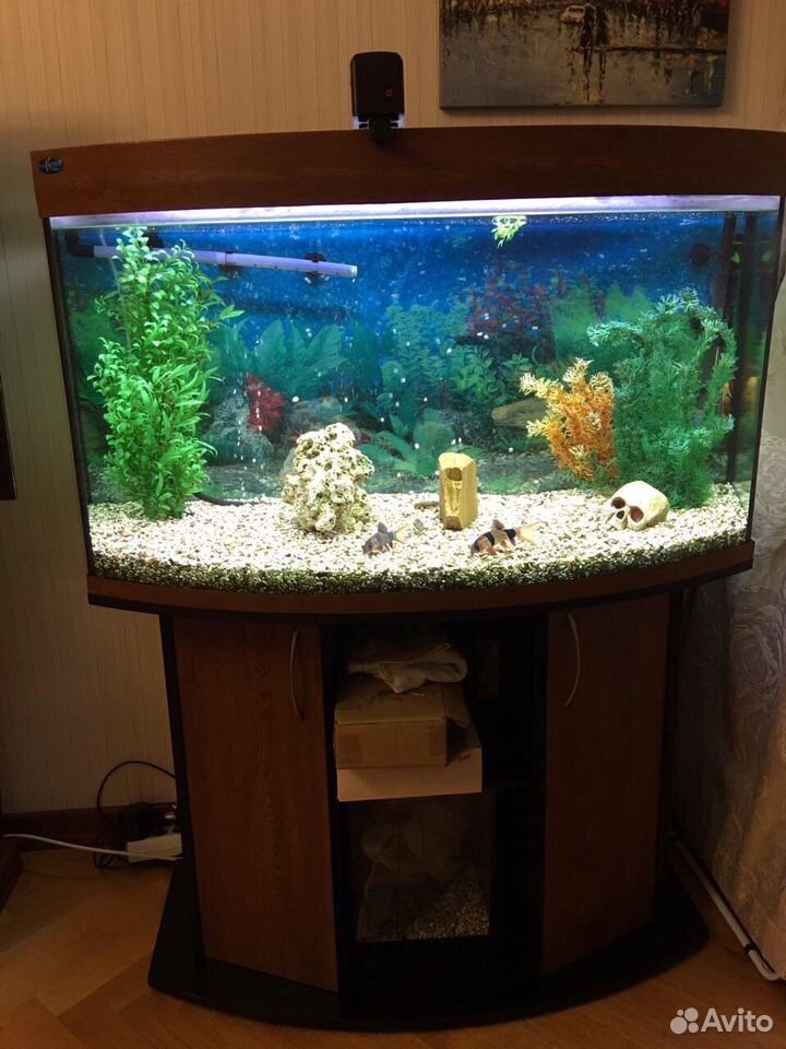 Аквариум BioDesign Panorama 350