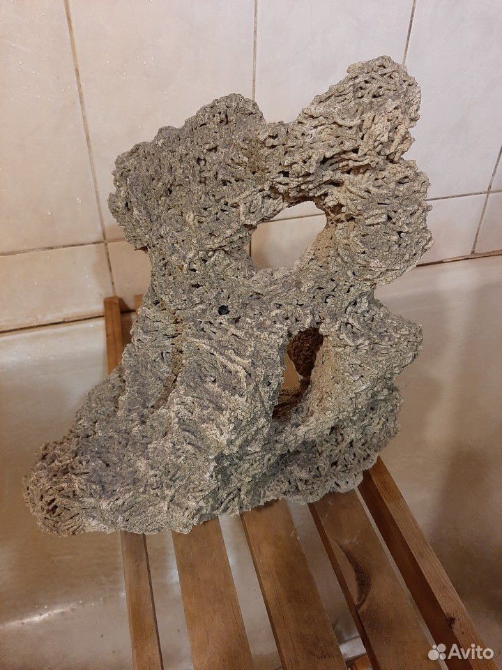 Туф(каралл) в аквариум