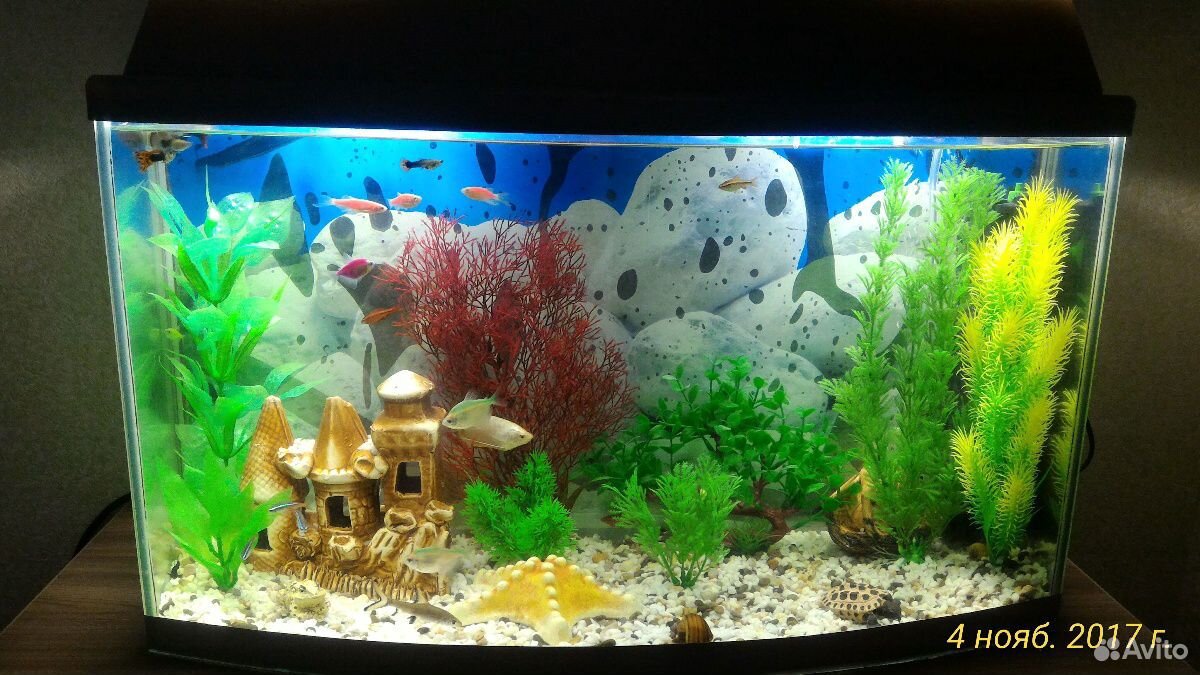 Аквариум со всеми аксессуарами
