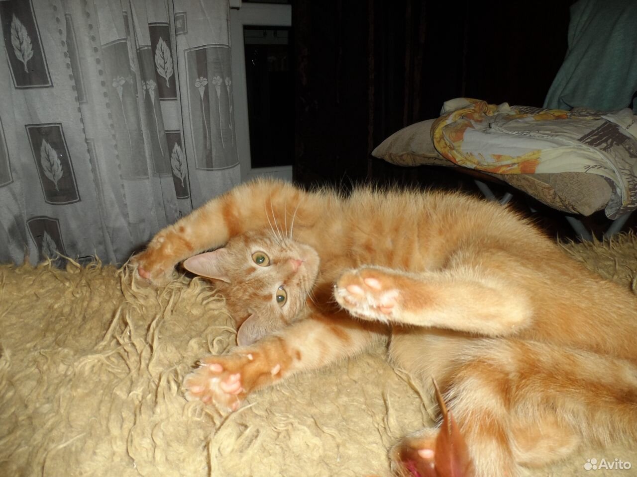 Отдам в хорошие руки