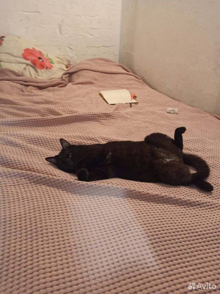 Диванный мякиш