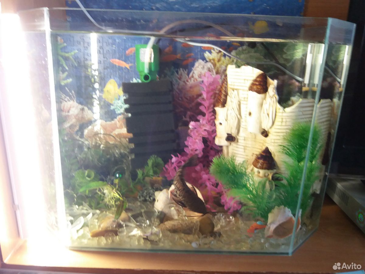Аквариум