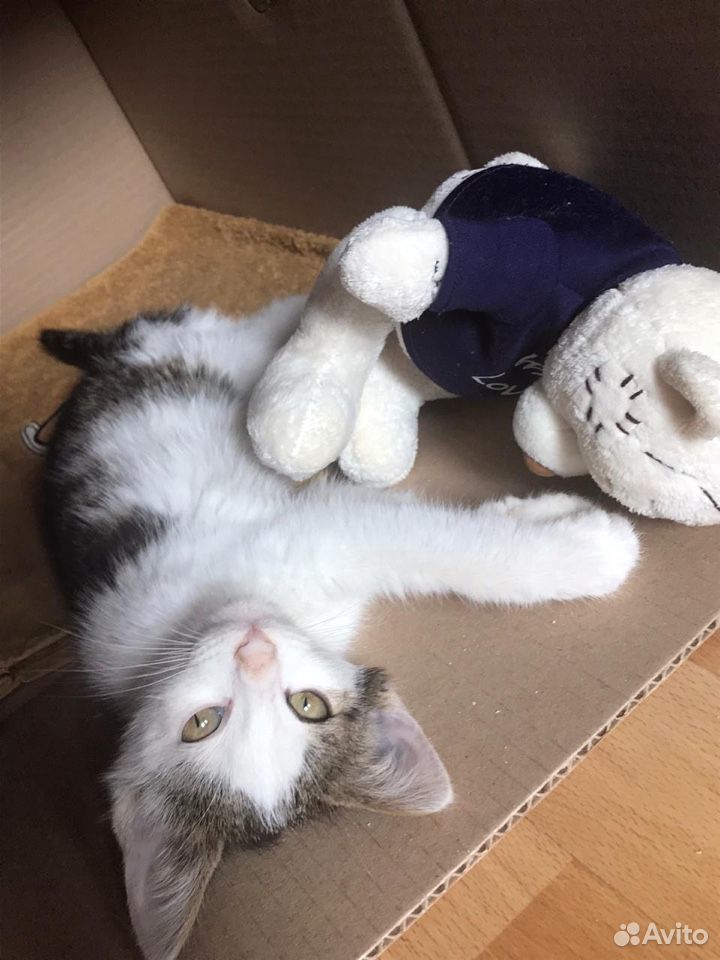 Девочка Ася. В дар