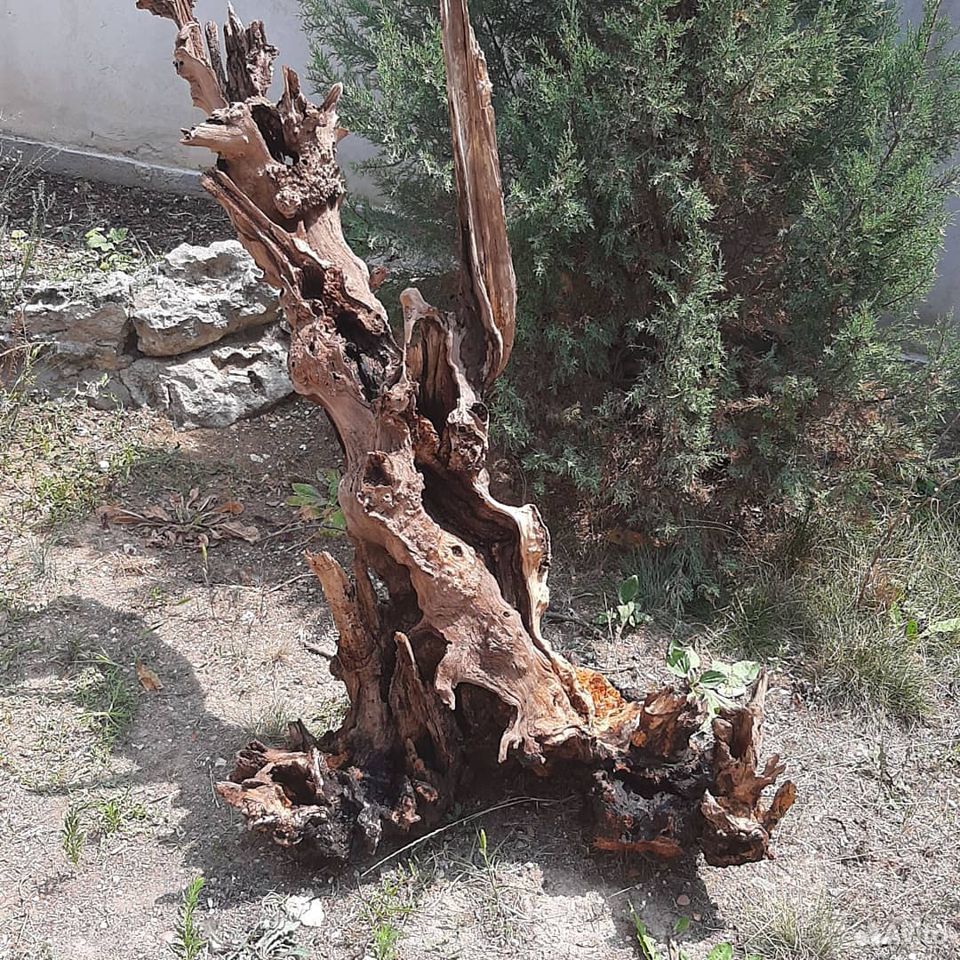 Коряги для ландшафта