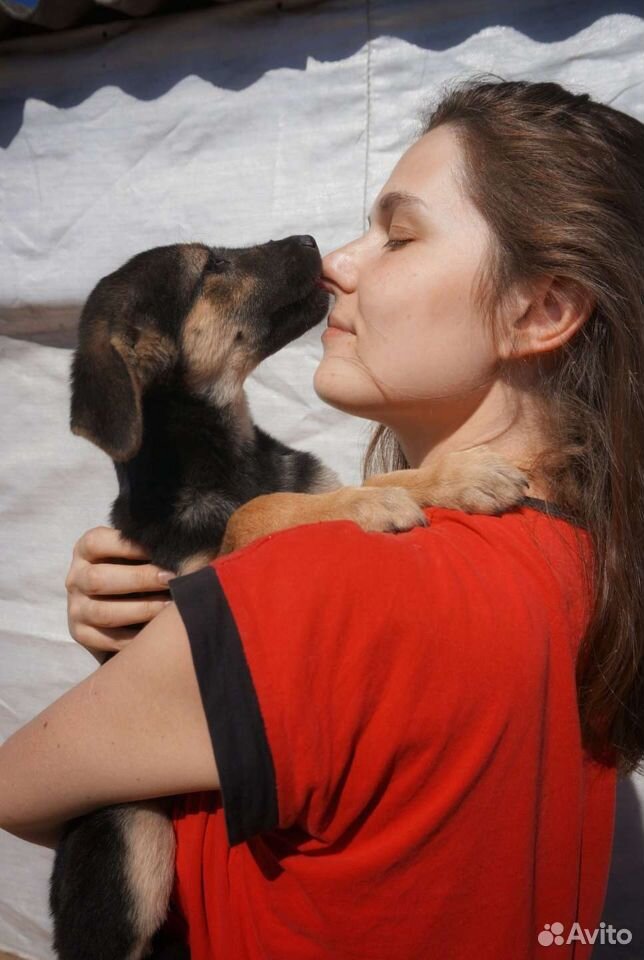 Сладкая Булочка в добрые руки