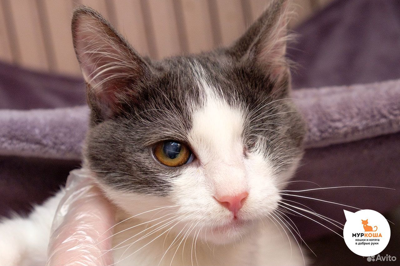 Брошечка нежная и ласковая малышка