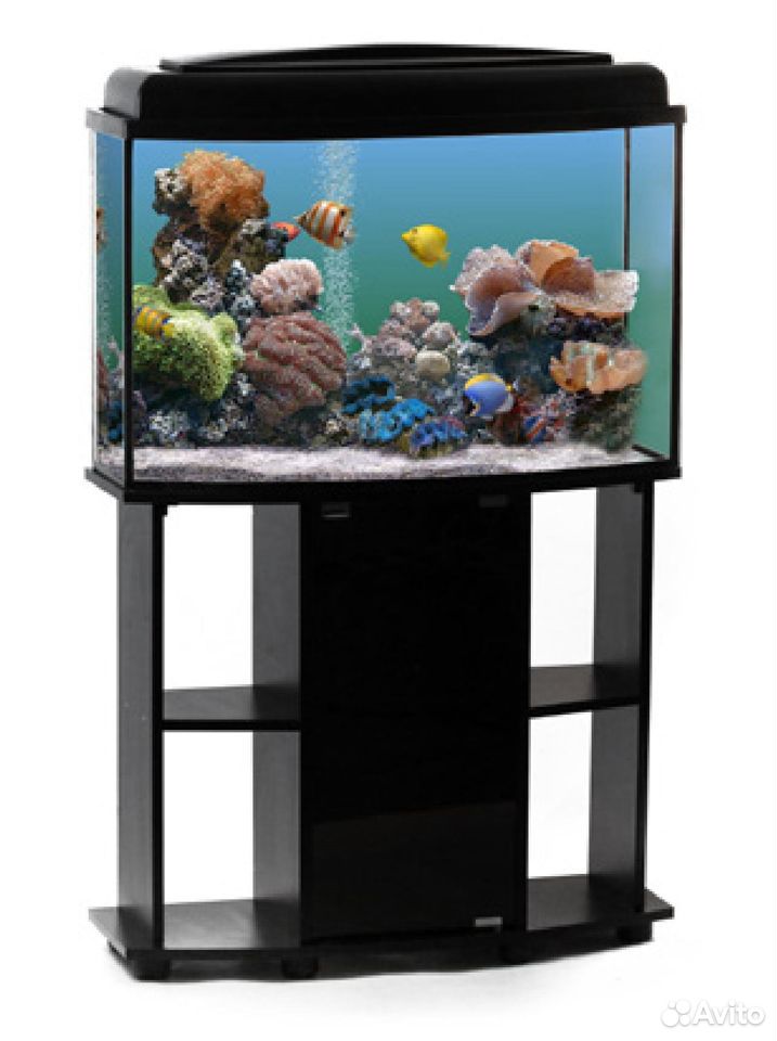 Аквариум телевизор 100 л