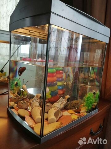 Аквариум