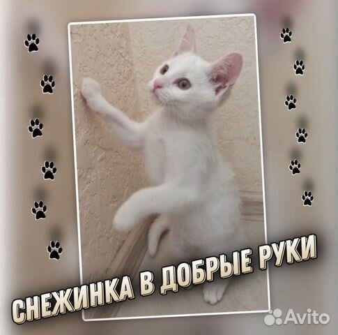 Снежинка в добрые руки