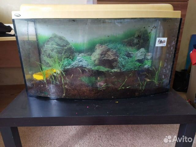 Аквариум