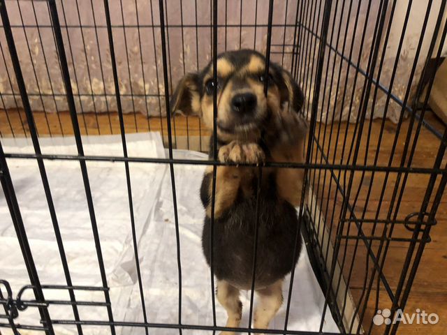 Мамочка мамулечка забери меня домой