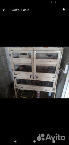 Витрина с дегу