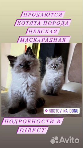 Невская маскарадная