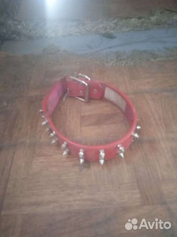 Найдена собака