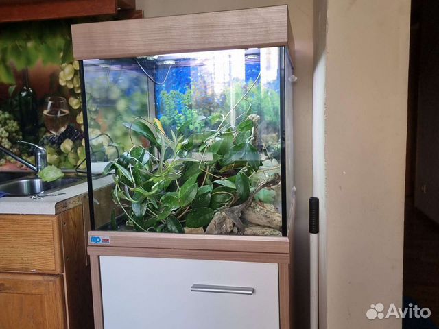 Аквариум