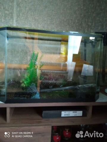 Аквариум