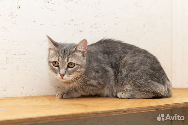 Милашка Руби очень ждет вас