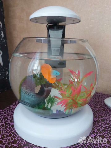 Аквариум tetra