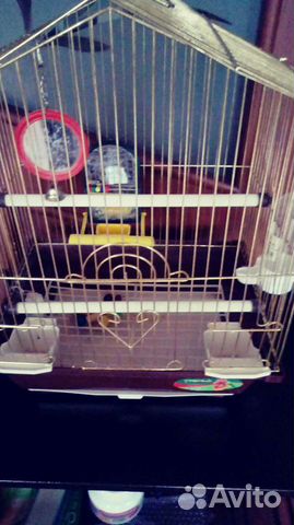 Клетка для волнистого попугая