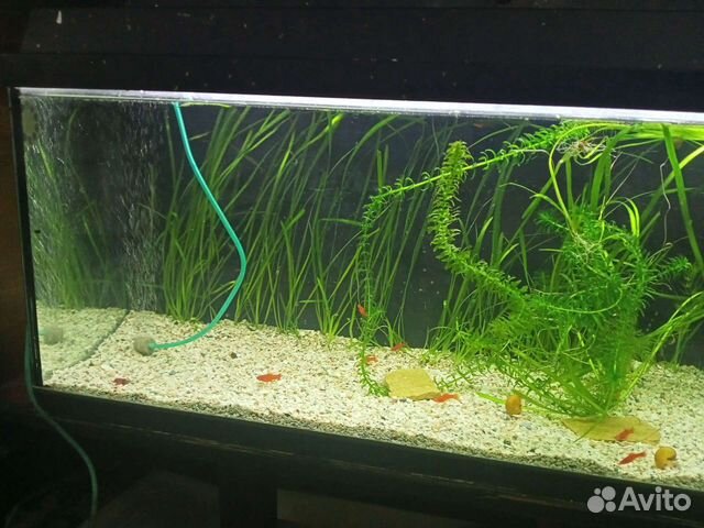 Украшение для аквариума