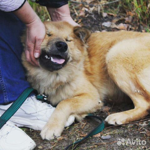 Замечательная девочка ищет семью