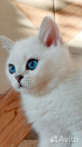 Клевый парень