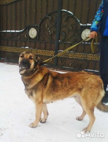 Марта подросток
