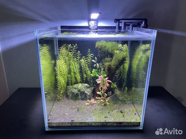 Аквариум комплект