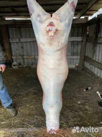 Продажа мясо козы, бараны