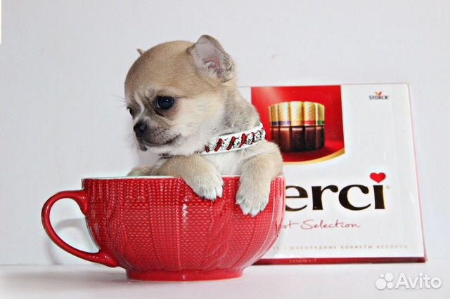 Карамелька