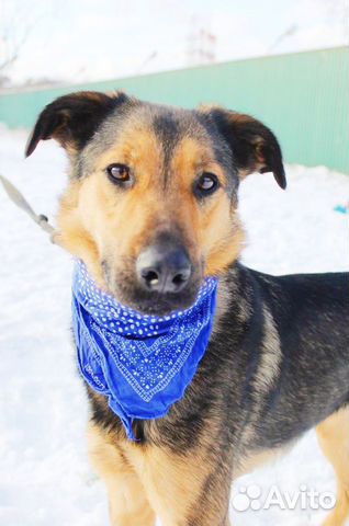 Хочу жить, а не умереть в холодной клетке