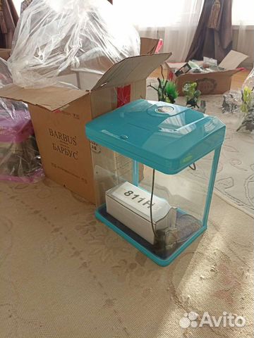 Barbus/Аквариум (LED + top Filtr) голубой 9л