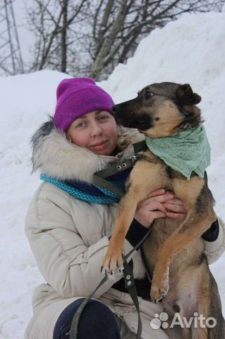 Пёс Лукас из приюта