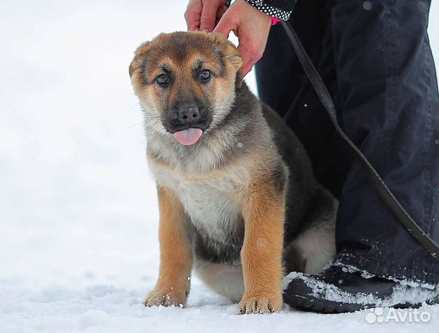 Ласковая девочка в приюте