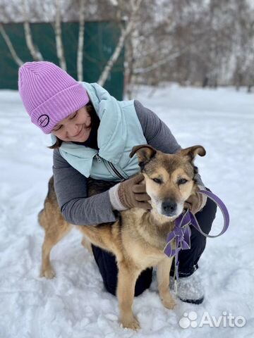 Спасите Грушу из приюта
