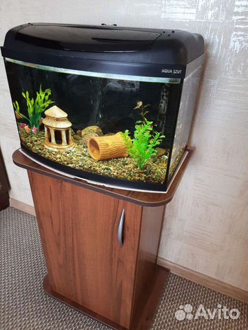 Аквариум aqua szut 40л. + тумба