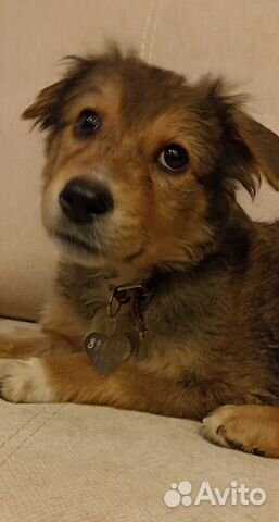 Миша 5 месяцев