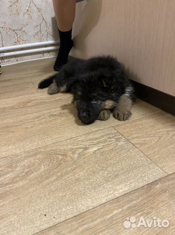 Немка девочка