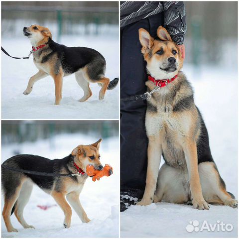 Марти (девочка. 6,5 месяцев) ждет свою семью в при