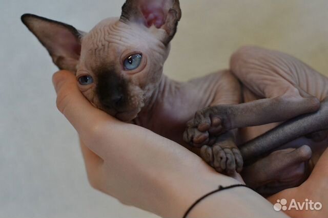 Мальчик с изумрудными глазками