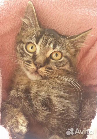 Малышка Маришка осталась сиротой