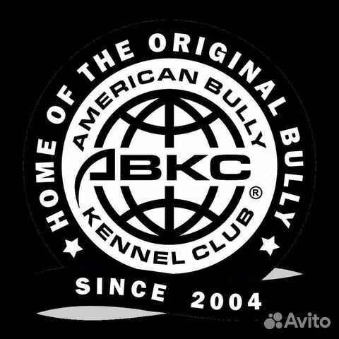 Документы abkc
