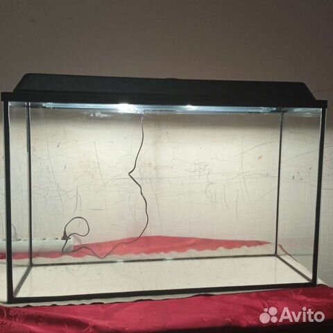 Аквариум с декором