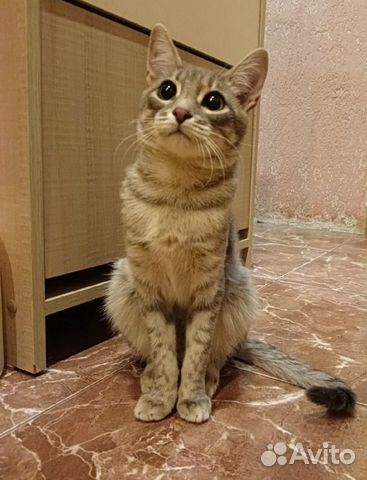 Красавица Леся ищет семью